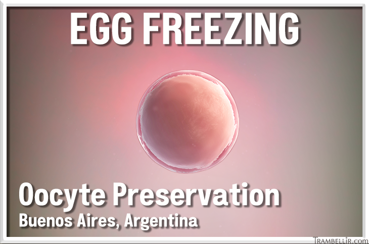 Egg Freezing (Oocyte Preservation) | Trambellir