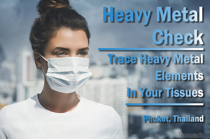 Heavy Metal Check (Trace Heavy Metal Elements in Your Tissues) | Trambellir