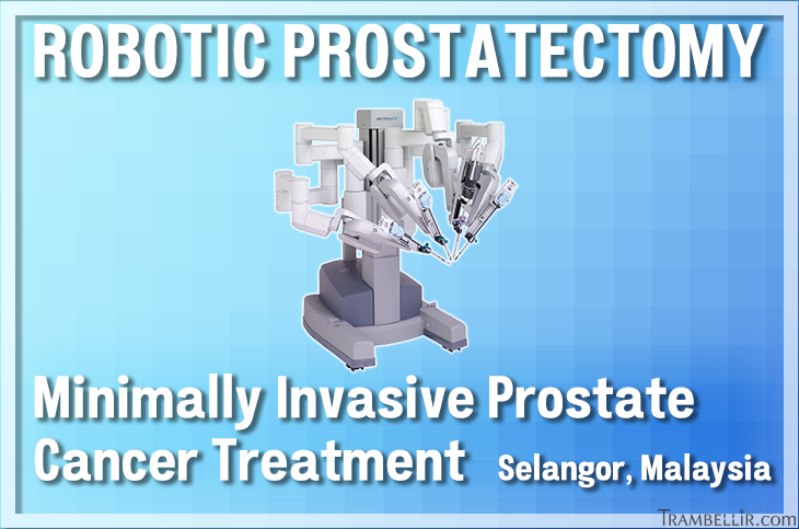 Robotic Prostatectomy (Minimally Invasive Prostate Cancer Treatment ...