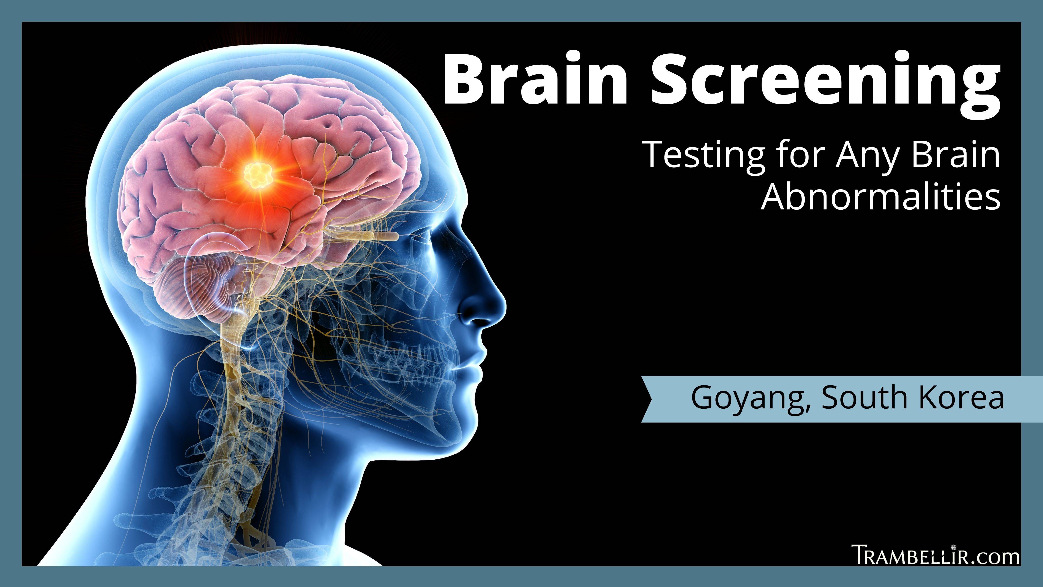 Brain Screening (Testing for Any Brain Abnormalities) | Trambellir