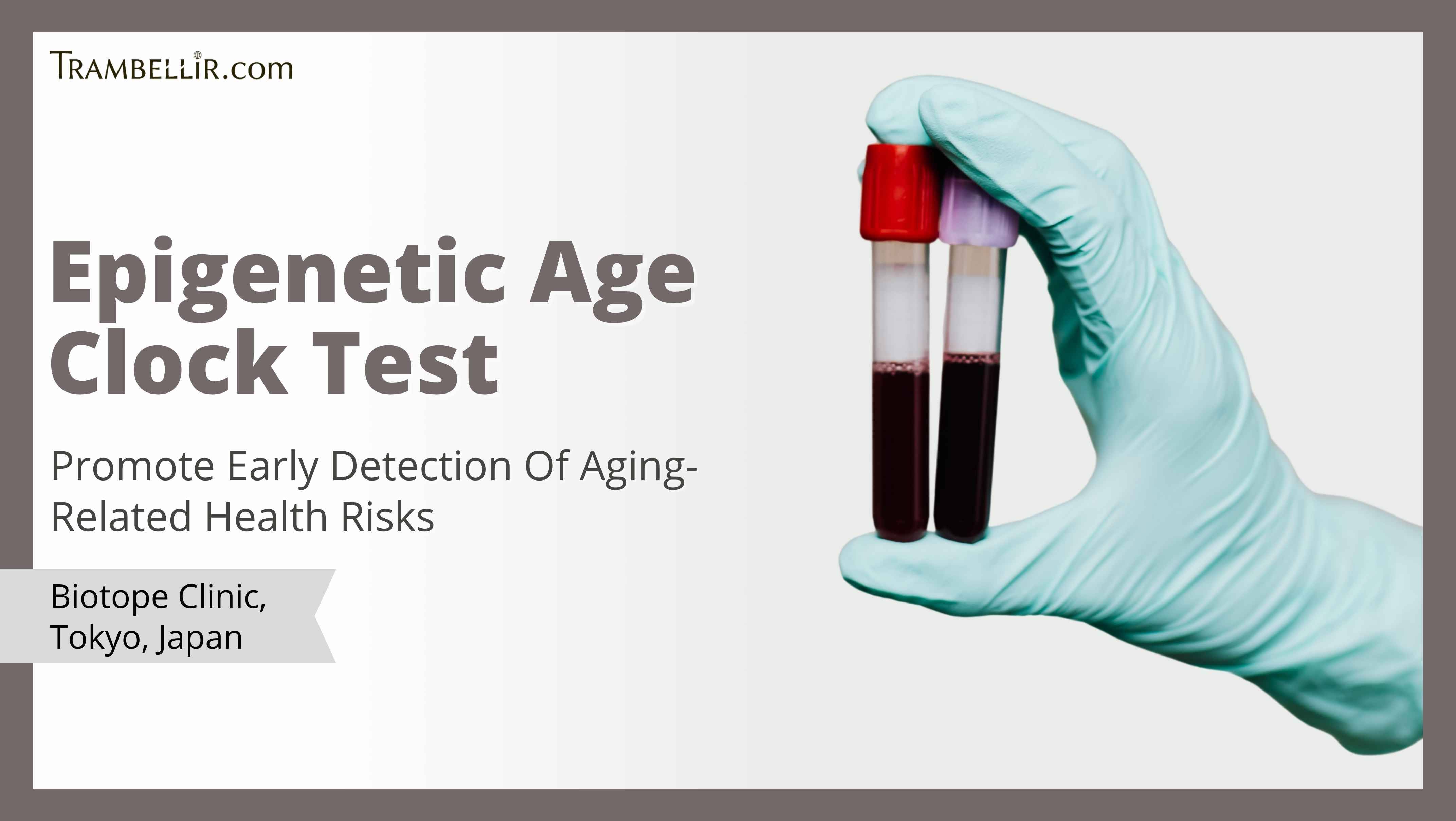 Epigenetic Age Clock Test (Promote Early Detection Of Aging-Related ...