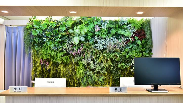 Labia Majoraplasty (Improve Shape And Hygiene In Your Intimate Area ...